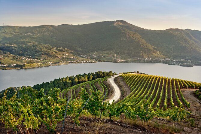 Visit Coastal Vineyard - Introduction