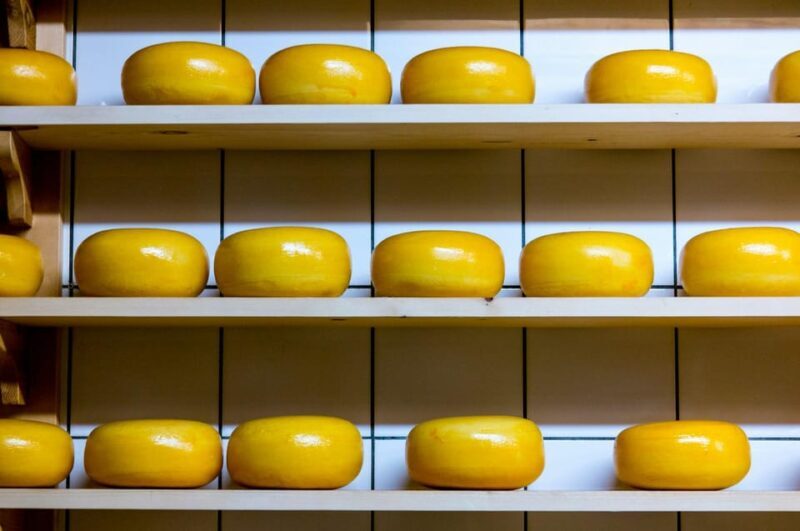 Visit family farm and enjoy cheese degustation - Introduction