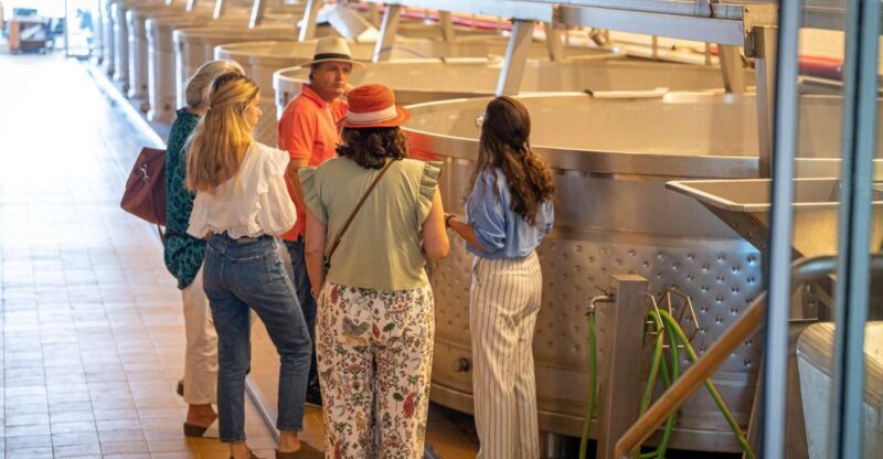 Visit Herdade da Comporta Winery - A Closer Look at the Tour Experience