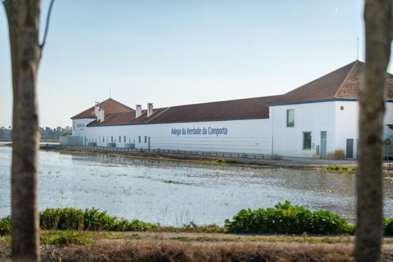 Visit Herdade da Comporta Winery - The Practical Aspects: What to Expect