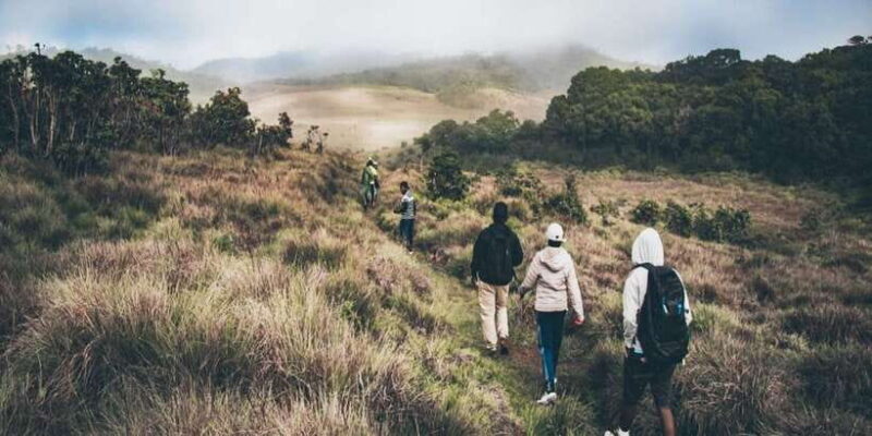Visit Horton plains and Nuwara Eliya from Ella - Who Will Enjoy This Tour?