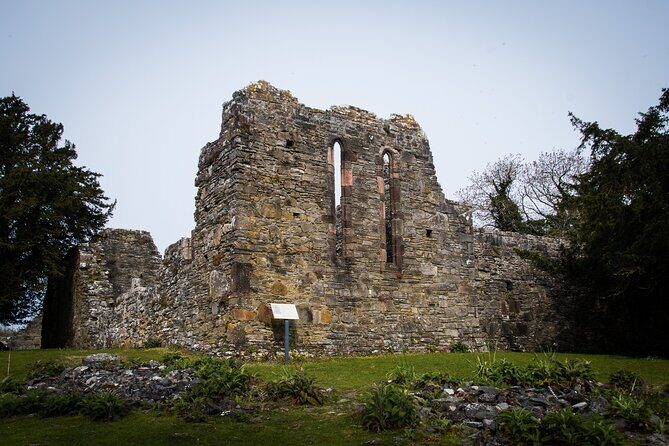 Visit Innisfallen Island - What You Can Expect from the Innisfallen Island Tour