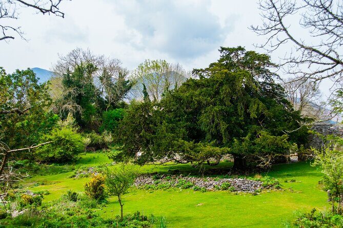 Visit Innisfallen Island - Final Thoughts