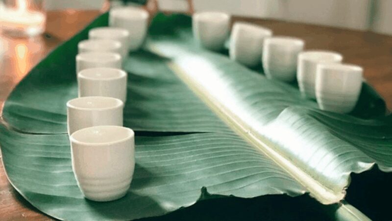 Visit Kensho in the Ebro Delta + Miso tasting - Who Will Love This Tour?