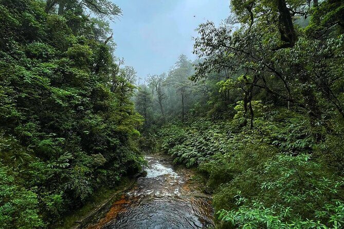 Visit Love Waterfall & Luscious Nature trek with fantastic views - Genuine Traveler Perspectives