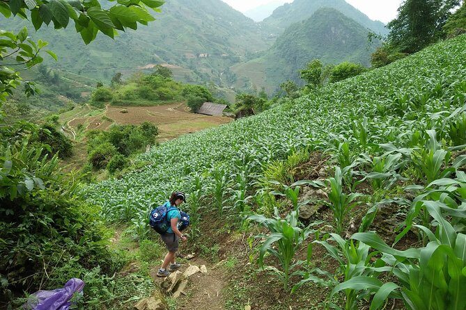 Visit Love Waterfall & Luscious Nature trek with fantastic views - Who Should Consider This Tour?