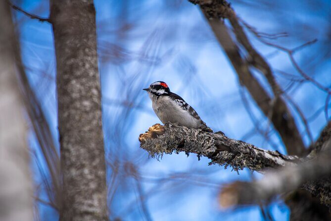 Visit Nature reserve, departure from Montreal, small group (2-4) - FAQs