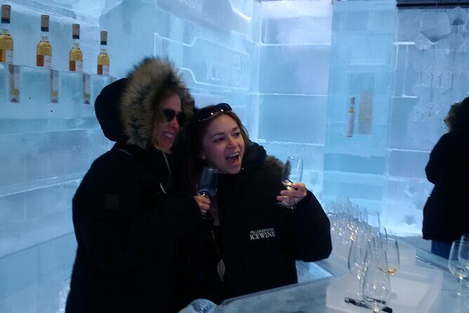 Visit Niagara Falls and experience a VIP Wine Tour - What the Price* Really Gets You