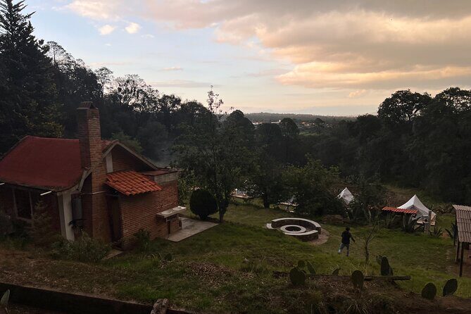 Visit of Fireflies Forest in private transport from mexico city - Practical Details and Amenities