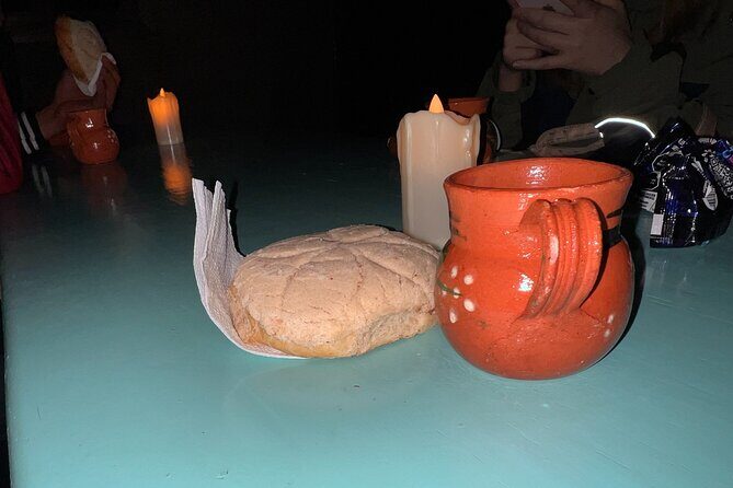 Visit of Fireflies Forest in private transport from mexico city - Who Will Love This Tour?