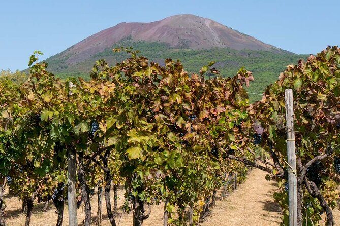 Visit of Pompei and Wine Tasting with Lunch from Amalfi - The Sum Up