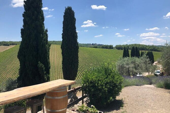 Visit Of The Chianti Classico And The Tuscan Countryside - Discovering Tuscany: A Closer Look at the Chianti Classico and Countryside Tour