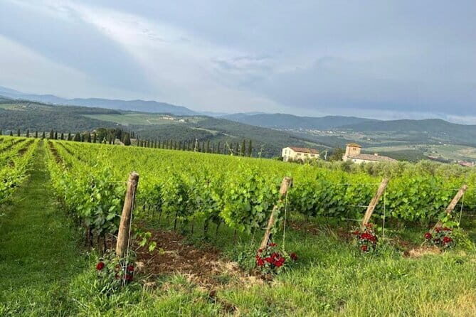 Visit Of The Chianti Classico And The Tuscan Countryside - Key Points
