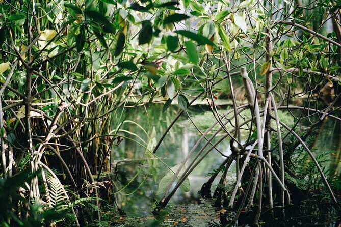 Visit of the fisher man village of Home Krateng from Bangkok with your private English-speaking guide - Who Should Consider This Tour?