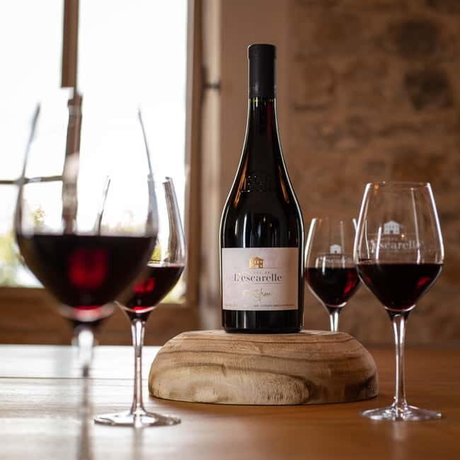 Visit one of the most modern wineries in Provence at L'Escarelle! - Key Points