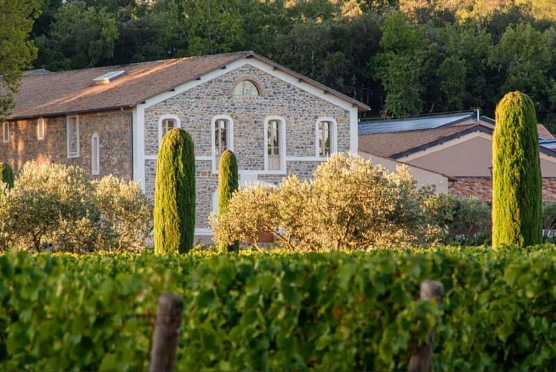 Visit one of the most modern wineries in Provence at L'Escarelle! - A Close Look at the Experience