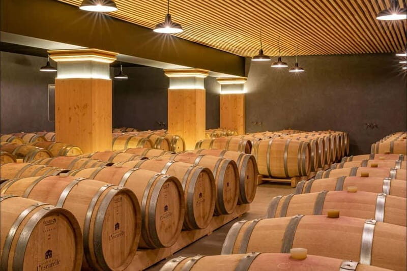 Visit one of the most modern wineries in Provence at L'Escarelle! - Who Will Love This Experience?