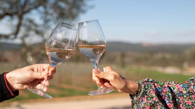 Visit one of the most modern wineries in Provence at L'Escarelle! - Frequently Asked Questions