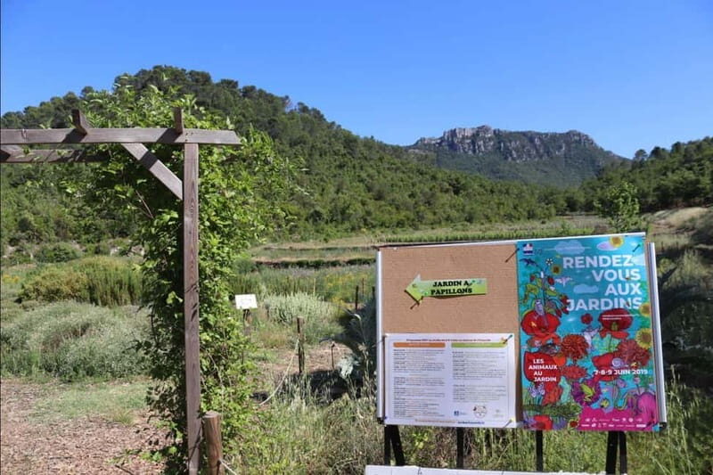 Visit one of the most modern wineries in Provence at L'Escarelle! - Final Thoughts