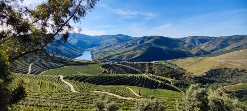 Visit Pinhão Visit and wine tasting Panoramic cruise - Final Thoughts