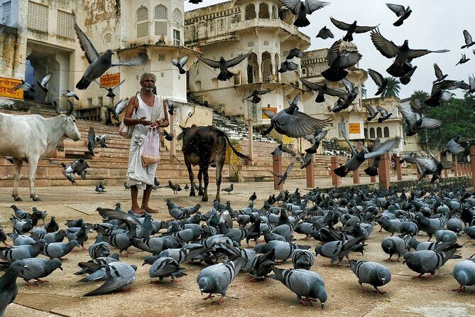 Visit Pushkar & Chittorgarh Fort from Jaipur with Udaipur Drop - FAQ