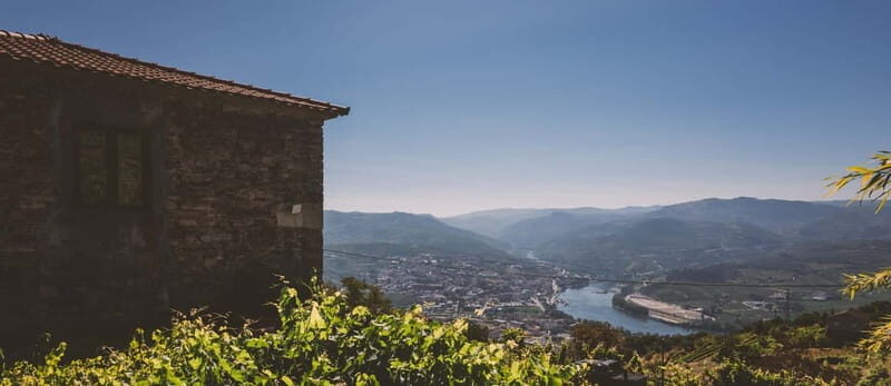 Visit Quinta de Sobre a Fonte with wine tasting and transportation - FAQ
