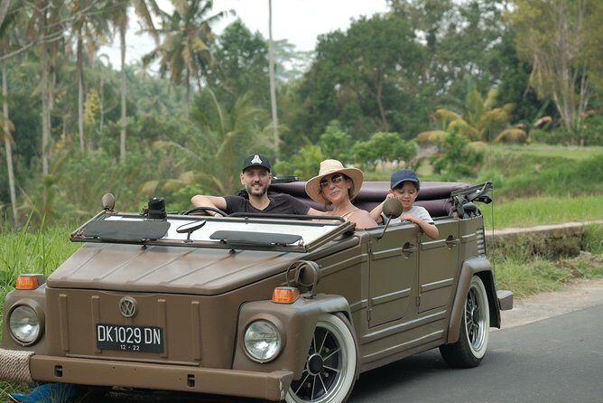 Visit Rice terrace, Beratan temple, waterfall by Vantage Volkswagen 181 - Who Is This Tour Best For?