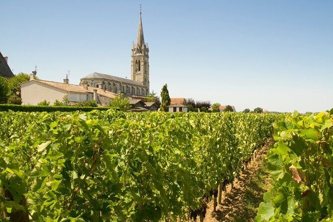 Visit Saint-Emilion and Pomerol:Vineyards, lunch and tastings included - Who Should Take This Tour?