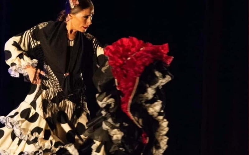 Visit Santa Barbara Castle in Alicante and Flamenco Show, Private Van - The Practical Details