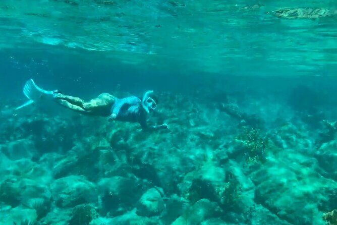 Visit Secret beaches and enjoy private guided Snorkel tour - Authentic Experiences and Real Traveler Feedback