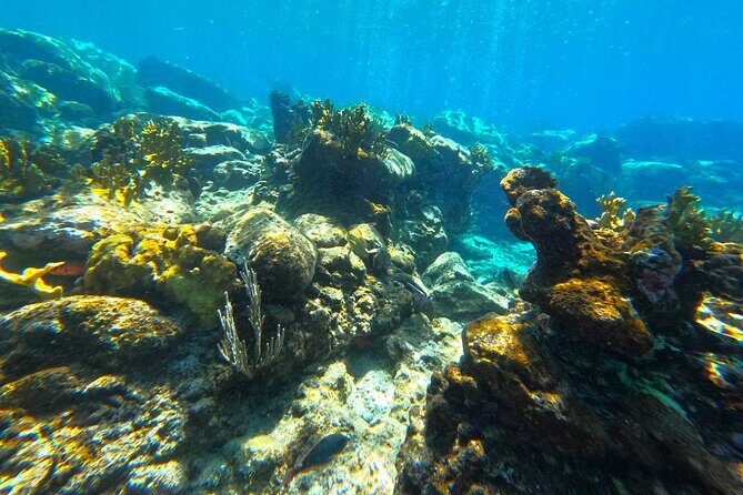 Visit Secret beaches and enjoy private guided Snorkel tour - FAQ: Your Practical Questions Answered