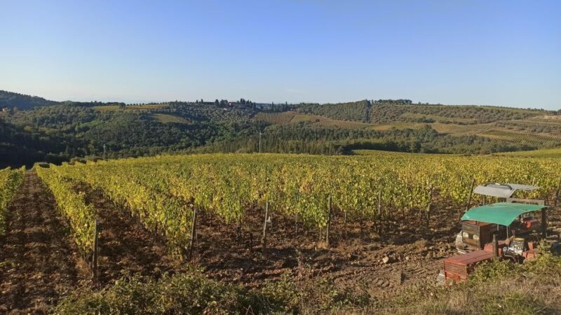 Visit Siena and San Gimignano with lunch at a family farm - FAQ