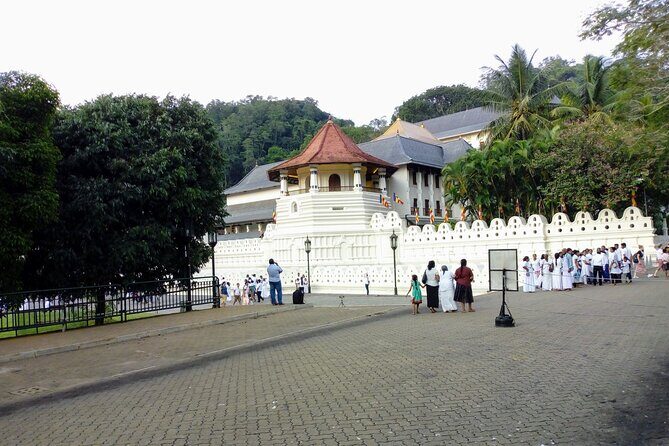 Visit Sigiriya, Dambulla and Kandy - 02 Days, All Inclusive. - Day 1: UNESCO Wonders and Coastal Scenery