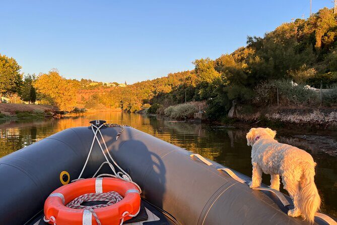 Visit Silves Medieval Town by Boat with Hop-Off Hop-On - Who Is This Tour Best For?