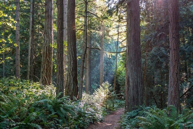 Visit Snoqualmie and Hike to Twin Falls (Transportation included) - Who Will Love This Tour?