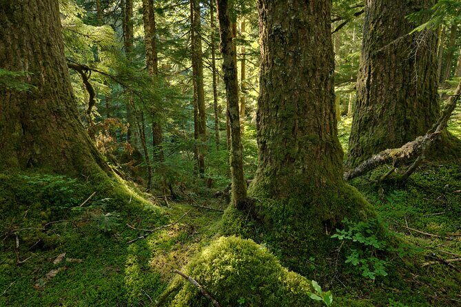 Visit Snoqualmie and Hike to Twin Falls (Transportation included) - The Sum Up