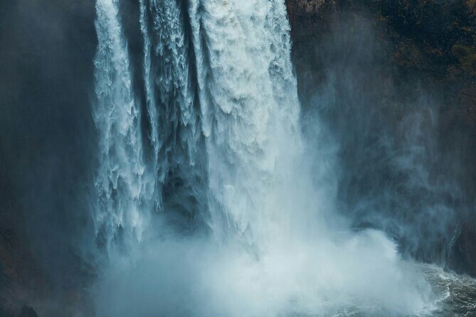 Visit Snoqualmie waterfall and an old Forest (Transport Included) - Why This Tour Is Worth It