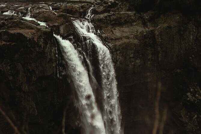 Visit Snoqualmie waterfall and an old Forest (Transport Included) - Who Will Love This Experience
