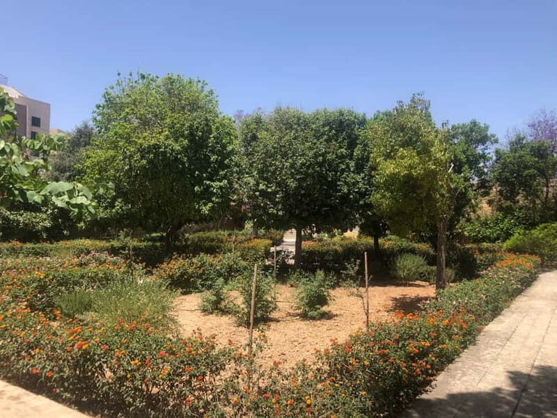 Visit Tarxien Temples, Kalanka Bay, Blue Grotto, Marsaxlokk - What Tour Reviewers Say