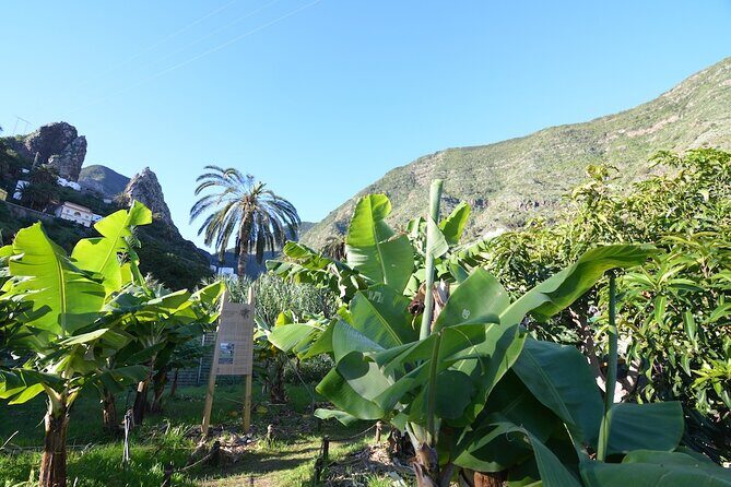 Visit the Ethnographic Park of La Gomera - The Verdict: Who Should Book This Tour?