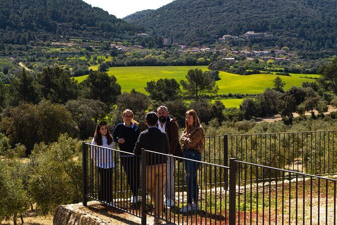 Visit the Finca and olive grove, extra virgin olive oil tasting and snack - Key Points