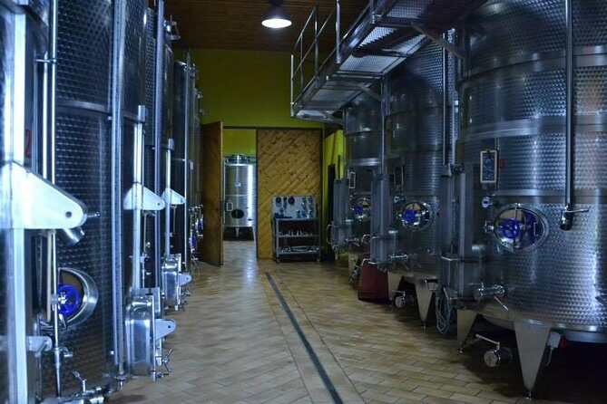 Visit the Marchesi de Cordano winery and taste its wines - Key Points
