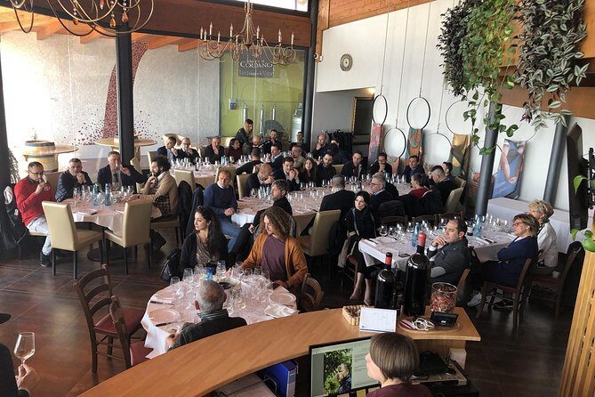 Visit the Marchesi de Cordano winery and taste its wines - The Group Size and Atmosphere