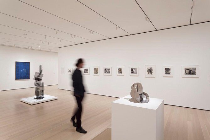 Visit the Museum of Modern Art & 3h Manhattan Walking Tour - Who Is This Tour Best For?