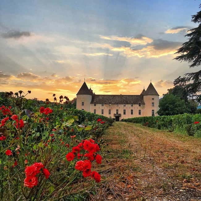 Visit the museums at Château de Savigny: aircraft, cars, motorcycles, and more. - How Does it Stack Up for Different Travelers?
