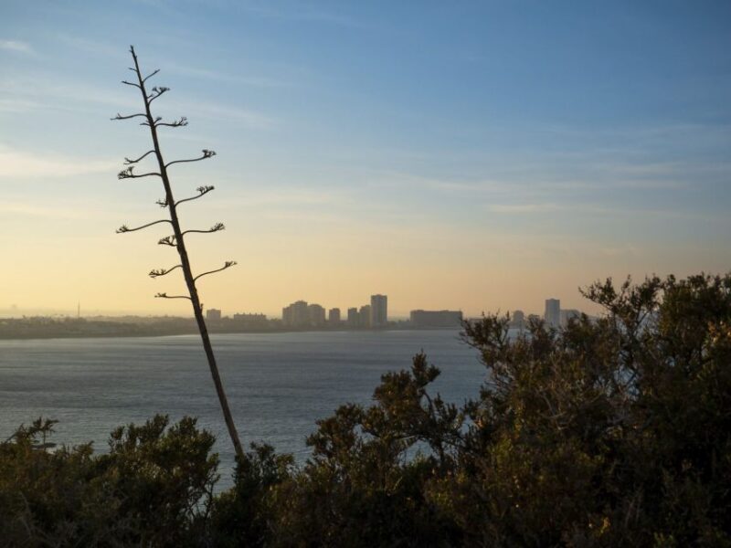 Visit the Palos Faro - The Sum Up