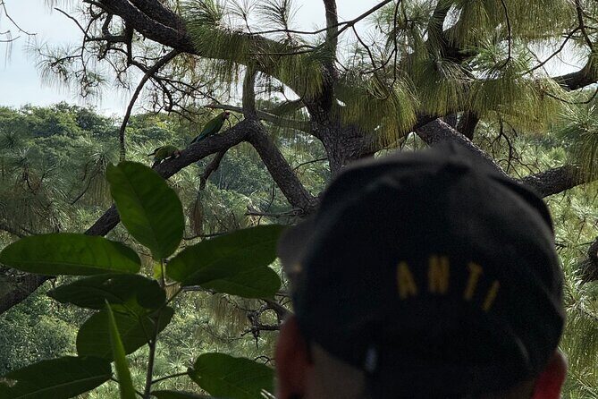 Visit the Sanctuary of the Guacamayas in free life - The Experience in Practice: What Travelers Say