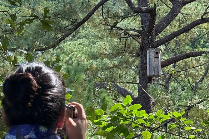 Visit the Sanctuary of the Guacamayas in free life - FAQs