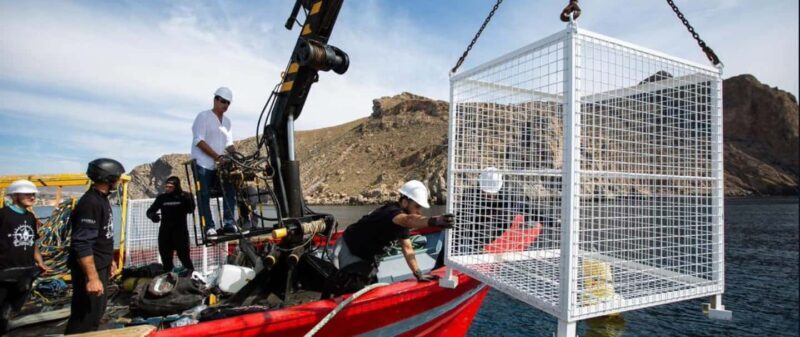 Visit the Underwater Wine Cellar by Boat with Tapas Tasting and Medieval Castle - An Overview of the Experience