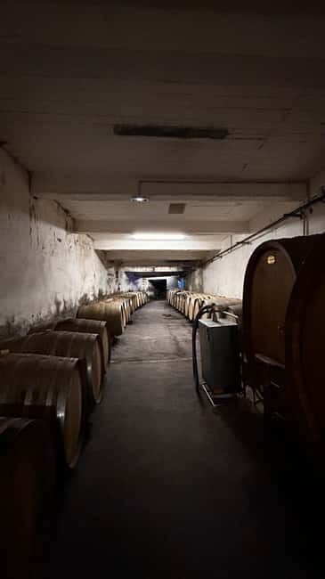 Visit the winery and taste the estate's wines - Who Should Consider This Tour?